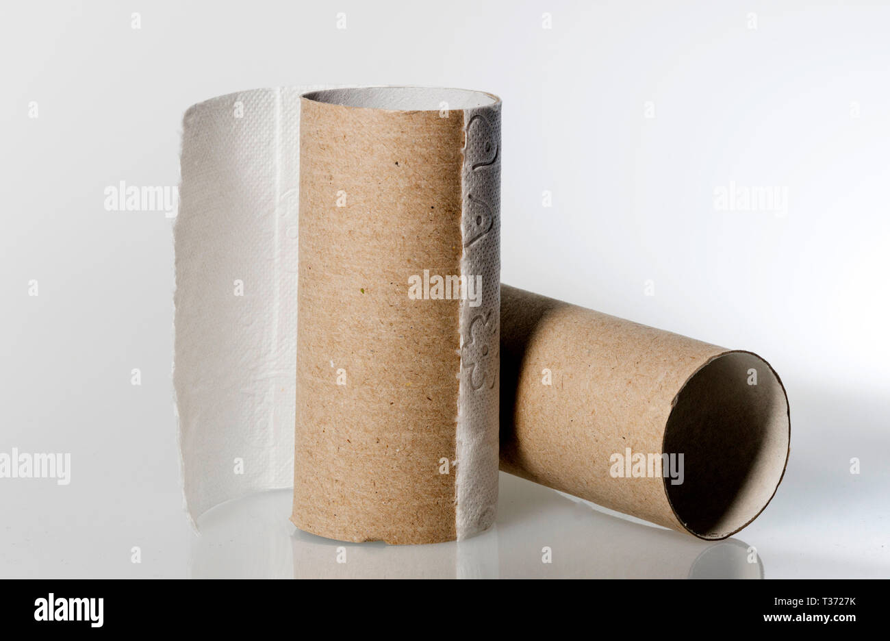 Empty loo roll Stock Photo - Alamy