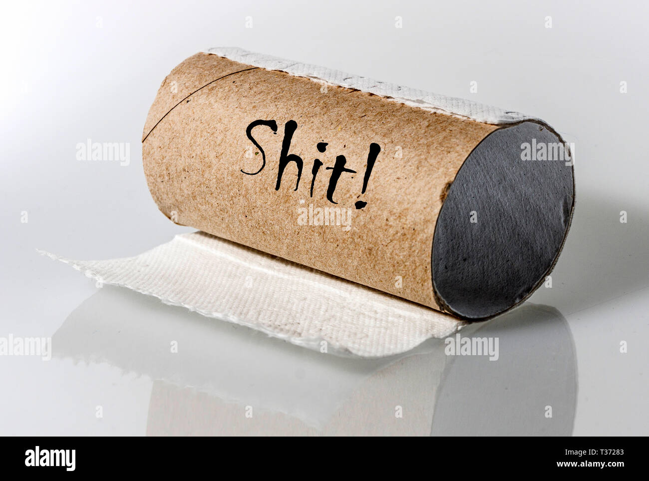 Empty loo roll Stock Photo - Alamy