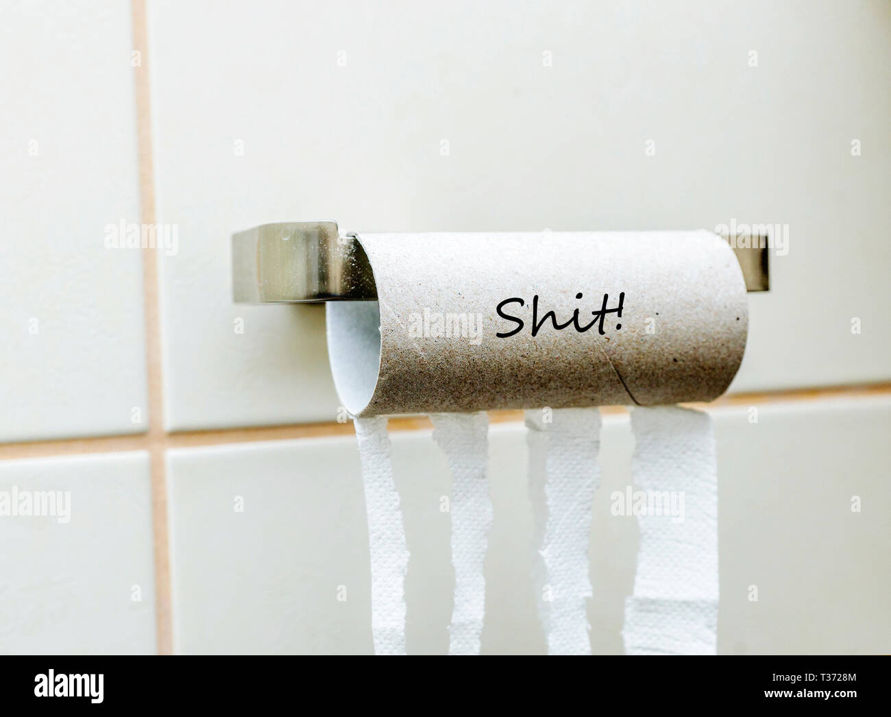 Empty loo roll Stock Photo - Alamy
