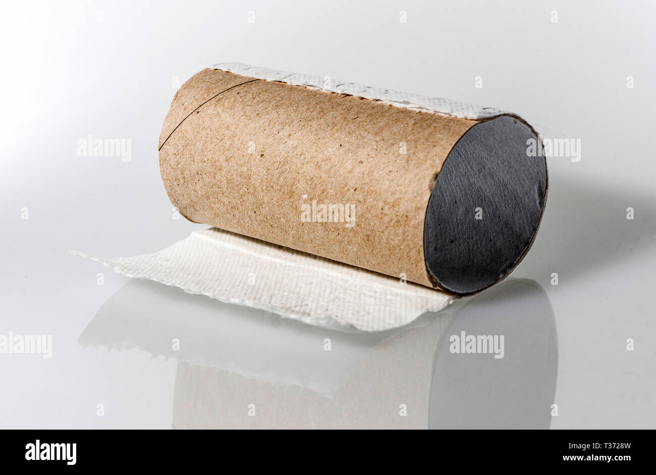 Empty loo roll Stock Photo - Alamy