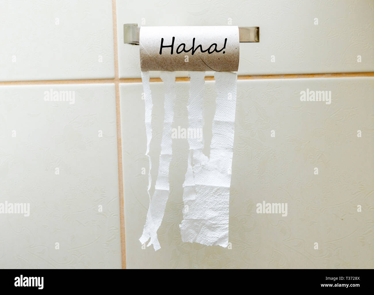 Empty loo roll Stock Photo - Alamy