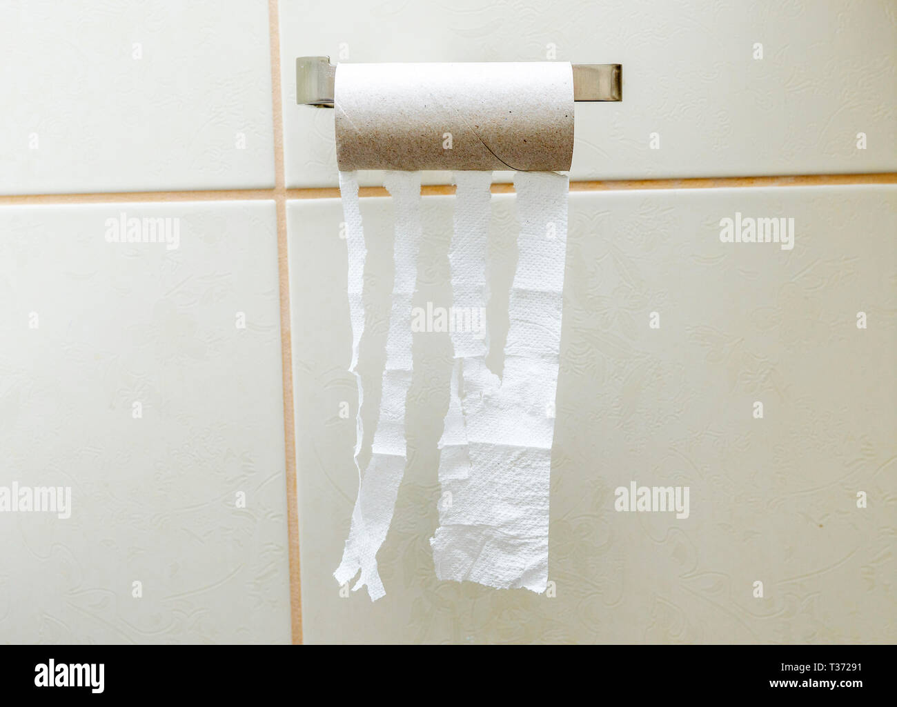Empty loo roll Stock Photo - Alamy