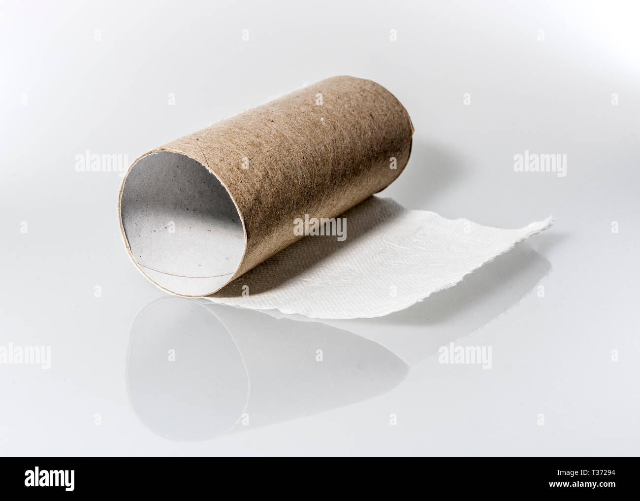 Empty loo roll Stock Photo - Alamy