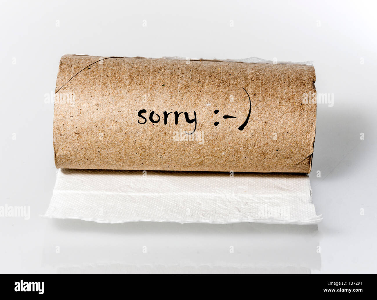 Empty loo roll Stock Photo - Alamy