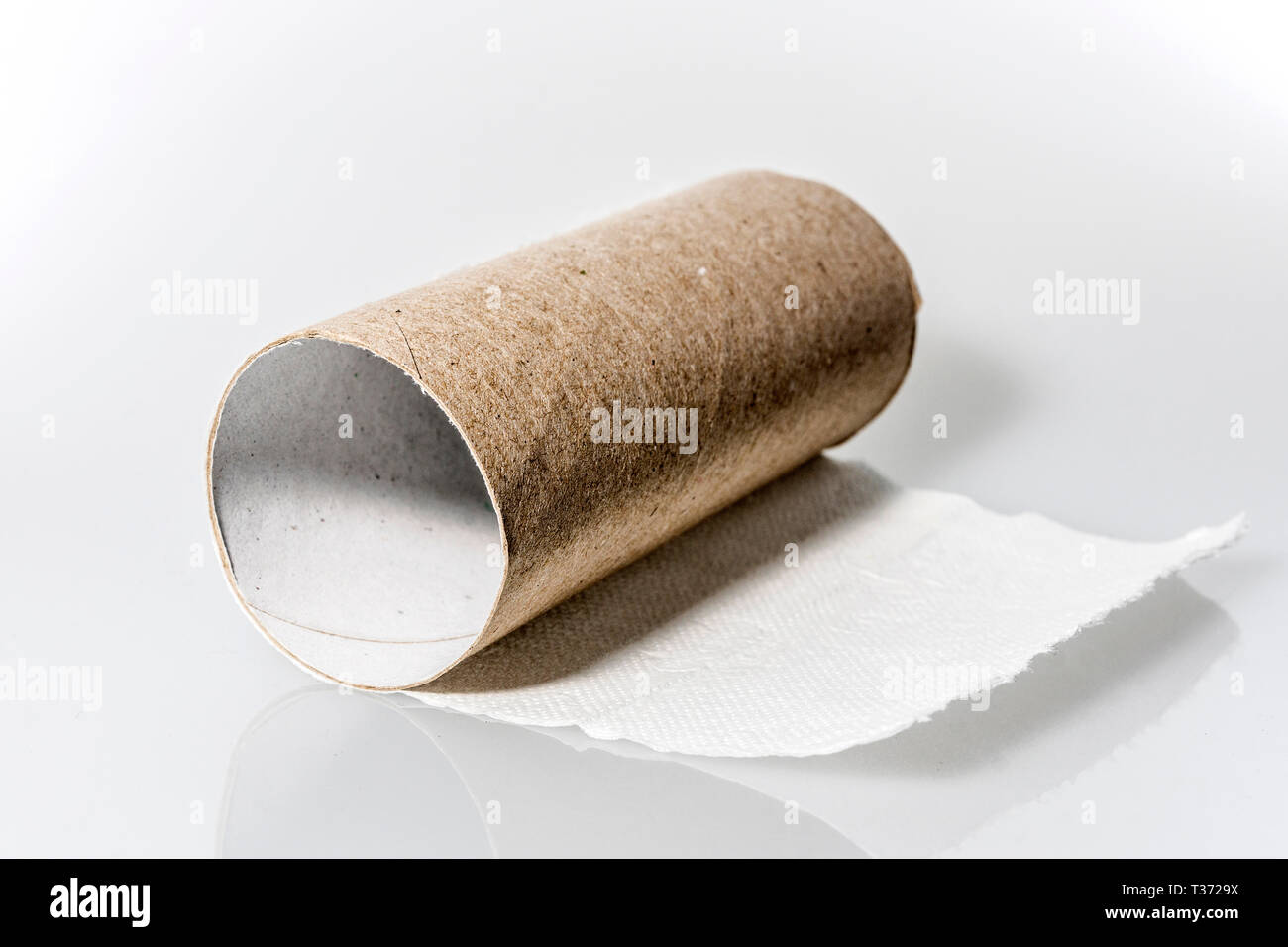 Empty loo roll Stock Photo - Alamy