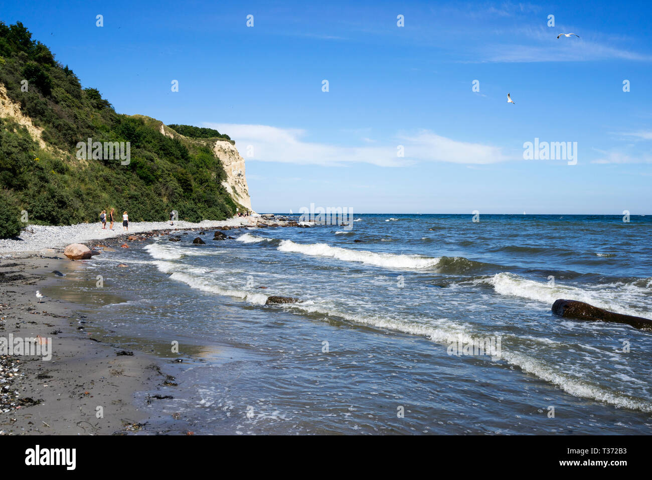 Lighthouse cape arkona ruegen hi-res stock photography and images - Alamy