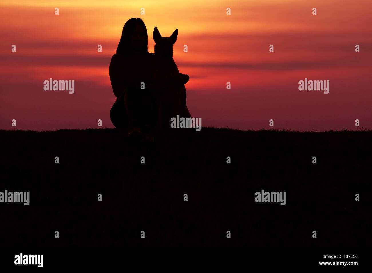 Silhouettes at sunset, girl and dog against the backdrop of an ...