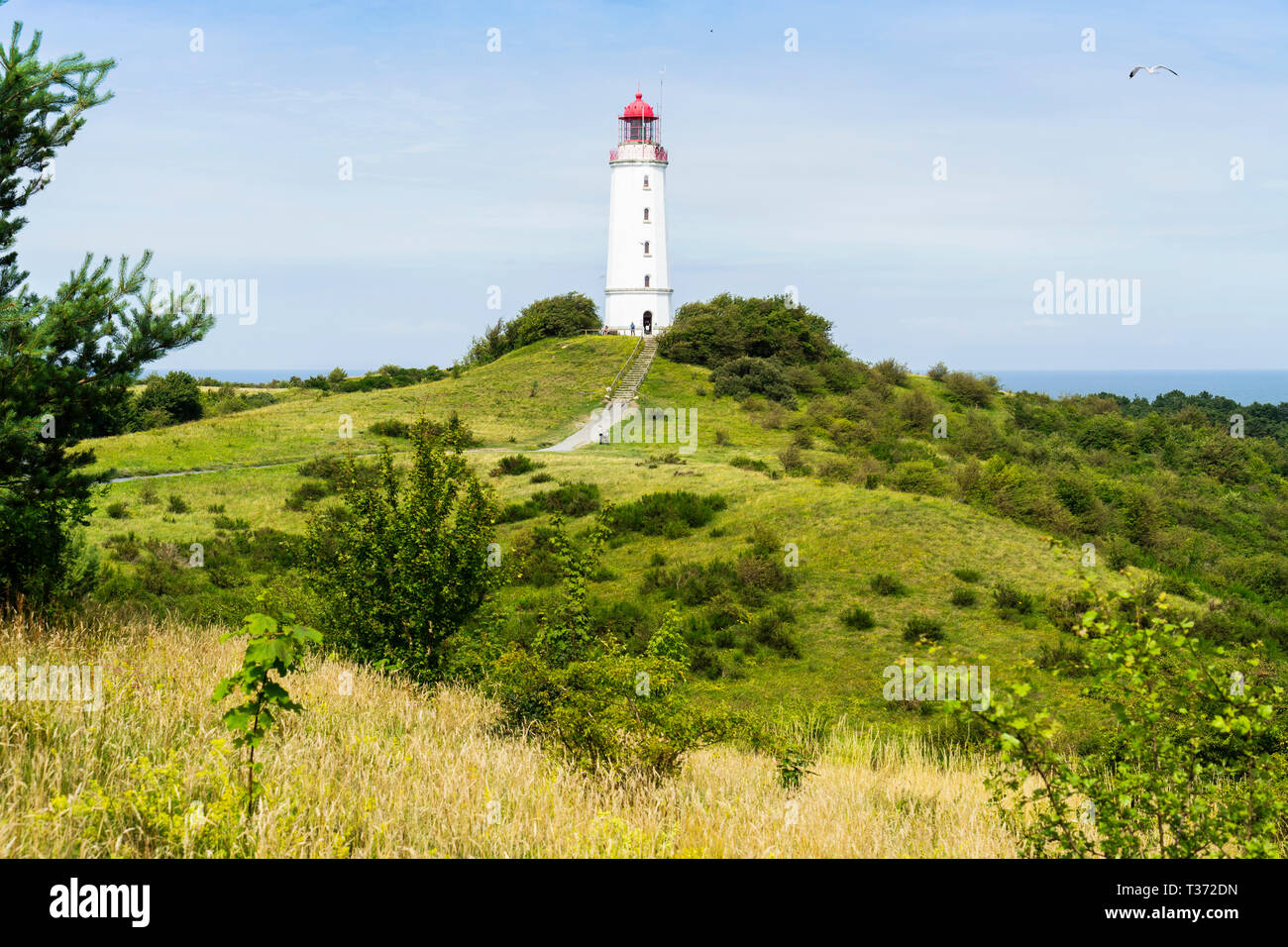 Island Hiddensee, Germany Stock Photo - Alamy