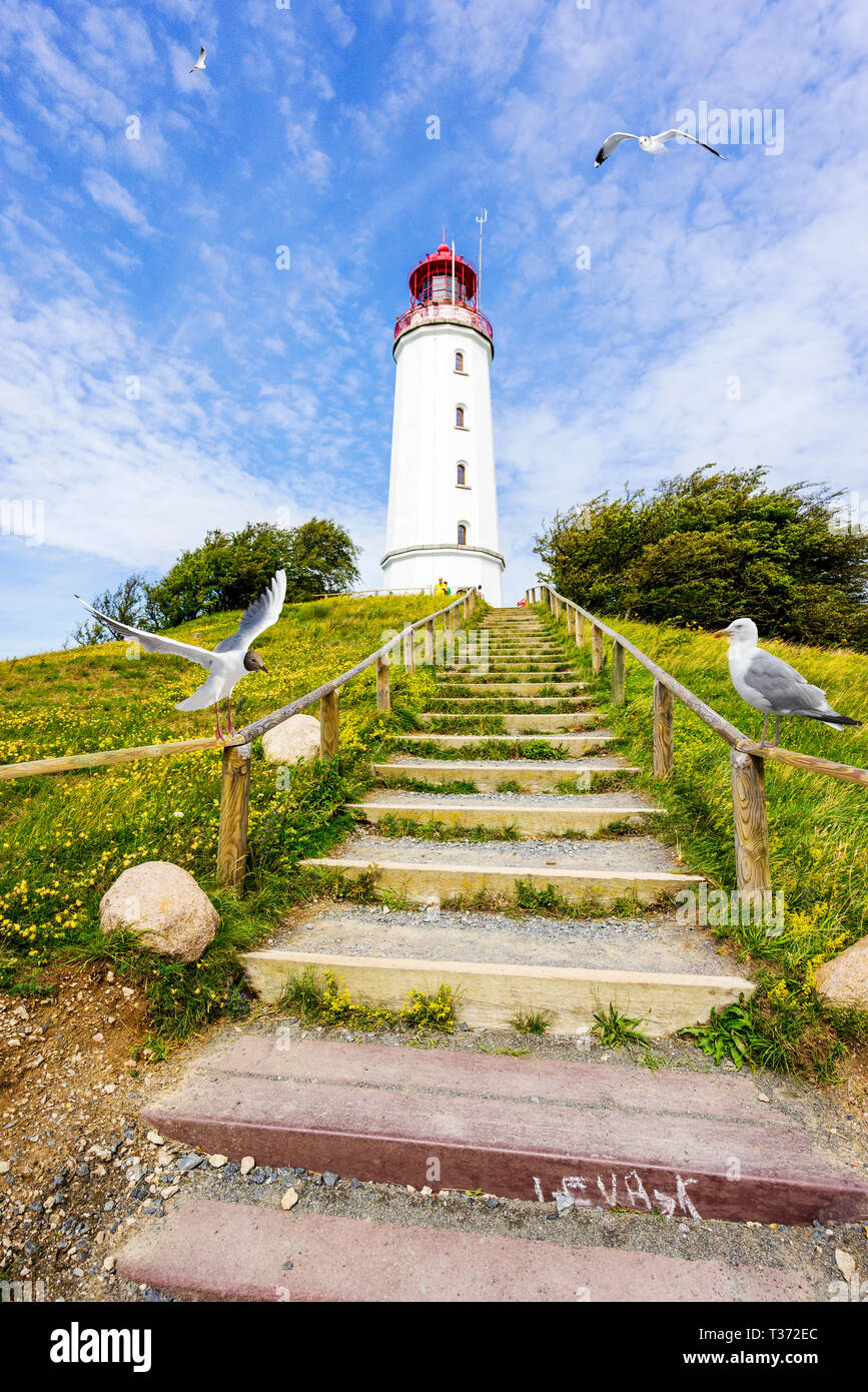 Island Hiddensee, Germany Stock Photo - Alamy