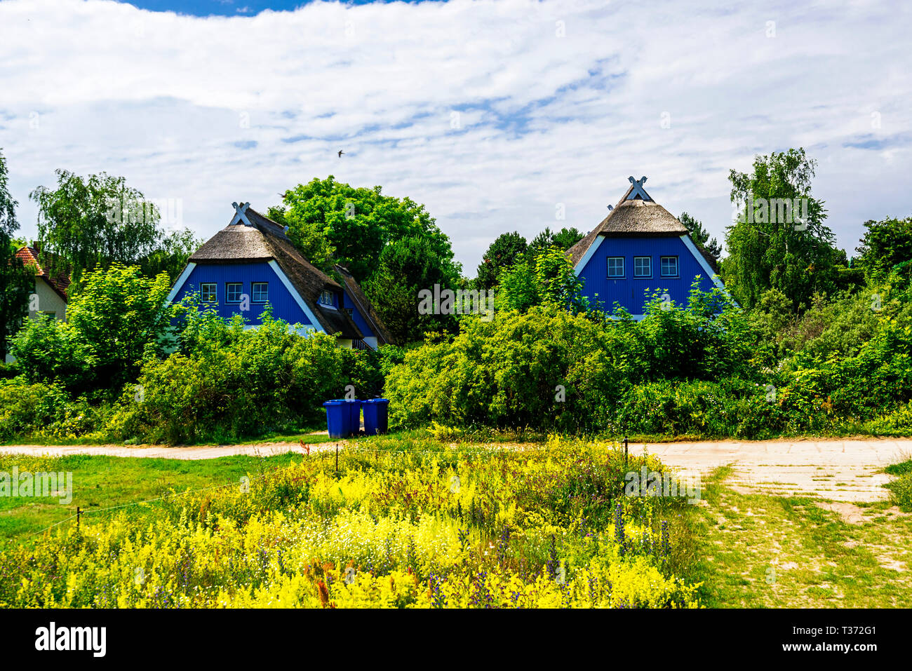 Island Hiddensee, Germany Stock Photo - Alamy