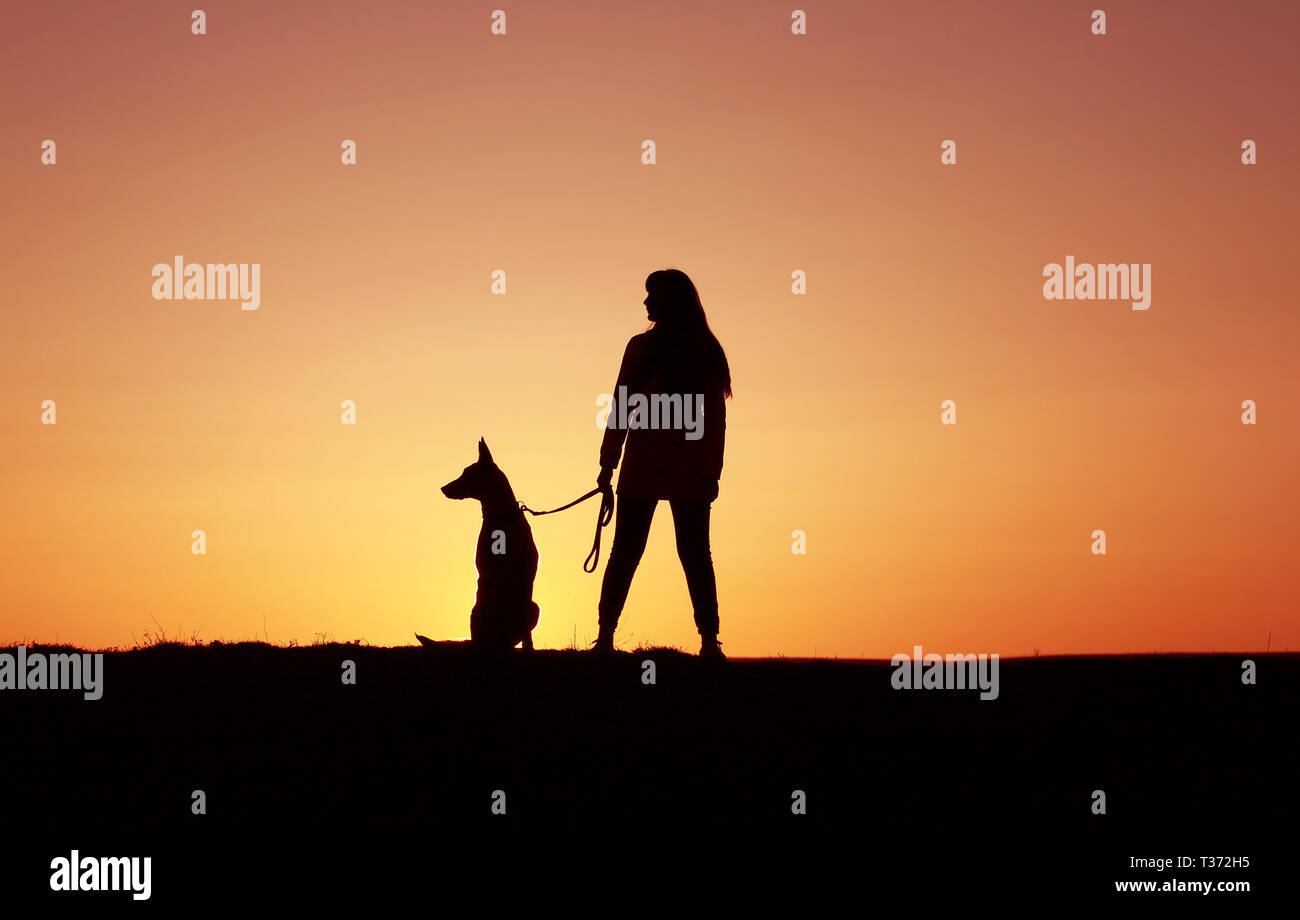 Silhouettes at sunset, girl and dog against the backdrop of an ...