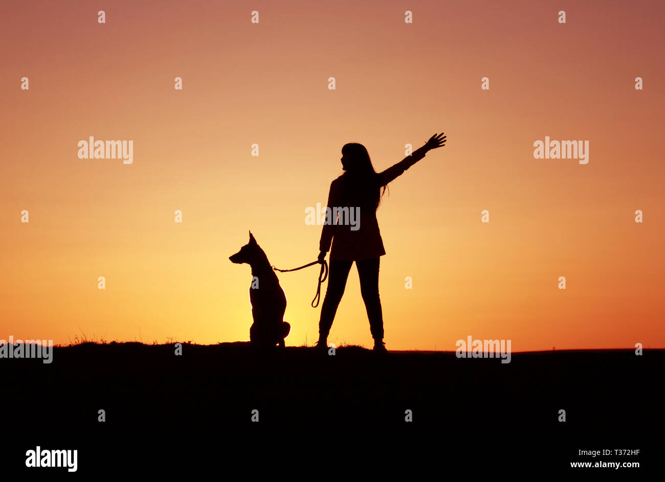 Silhouettes at sunset, girl and dog against the backdrop of an ...