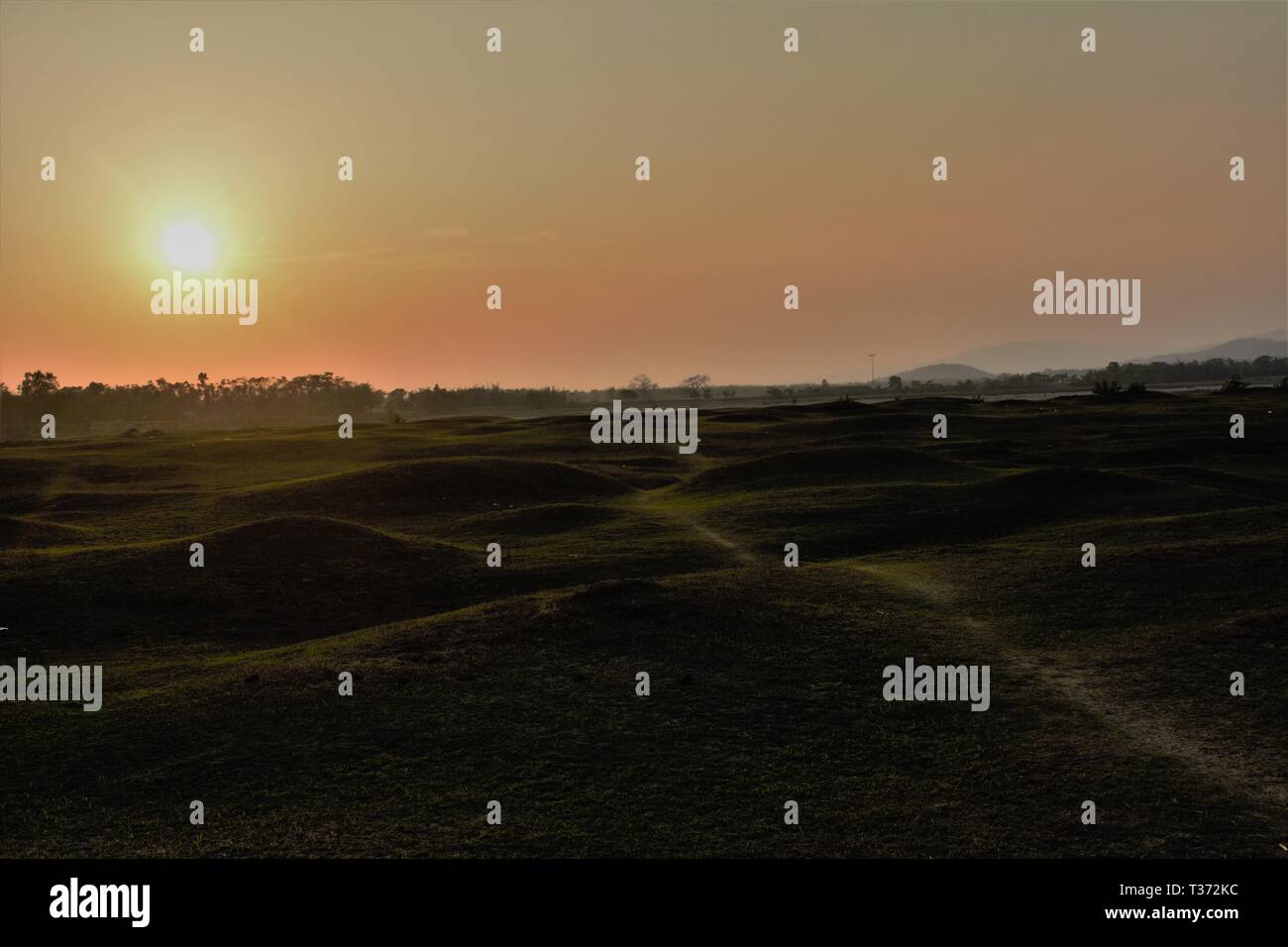 Sunkiss hi-res stock photography and images - Alamy