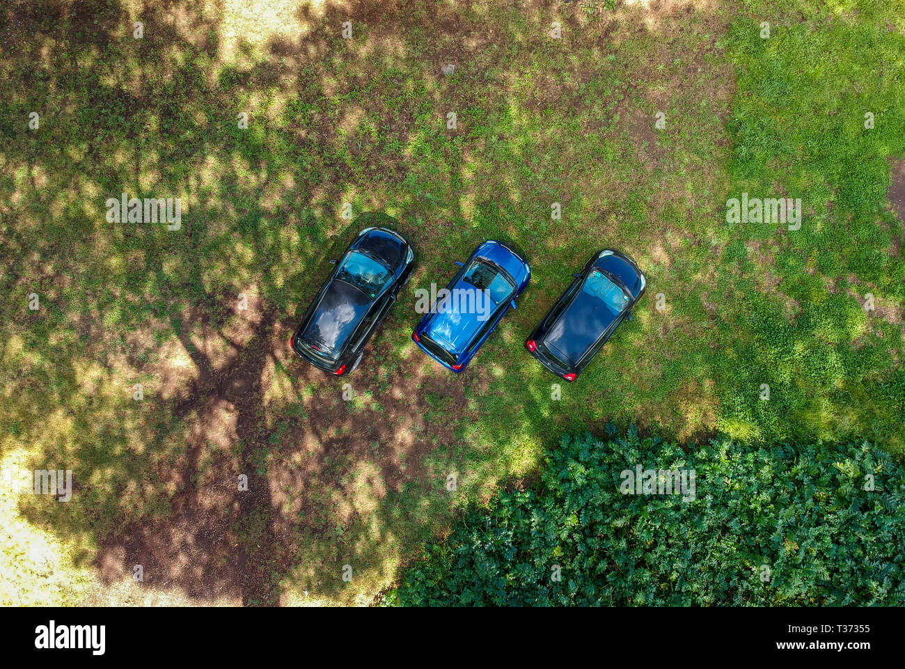 Car parked on grass hi-res stock photography and images - Alamy
