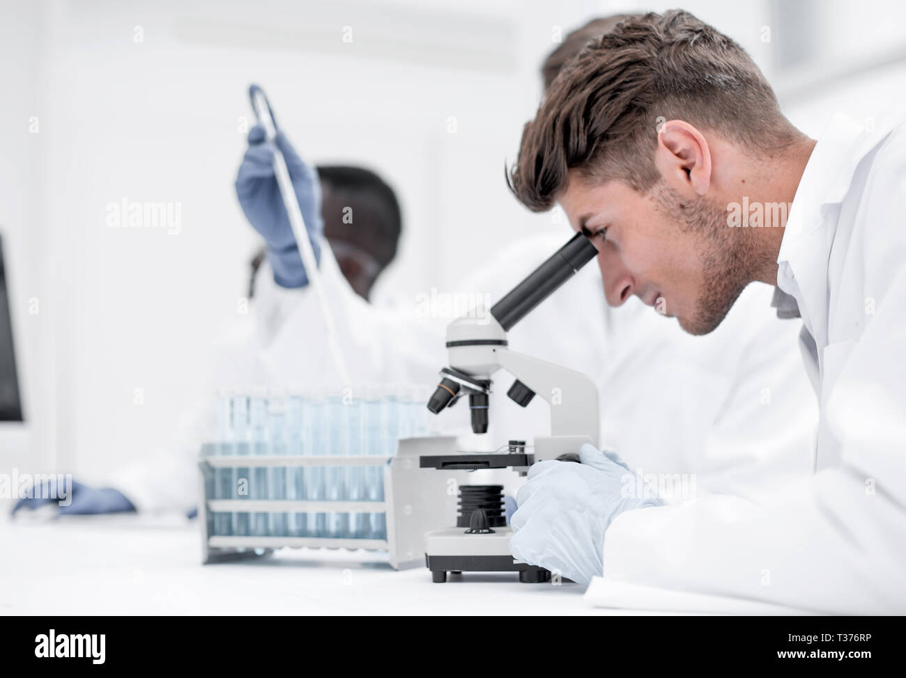 rear view. a group of scientists at the laboratory table Stock Photo ...