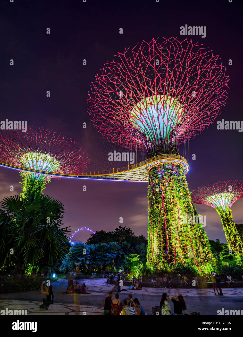 SINGAPORE CITY, SINGAPORE - FEBRUARY 03, 2019: Gardens by the bay in ...
