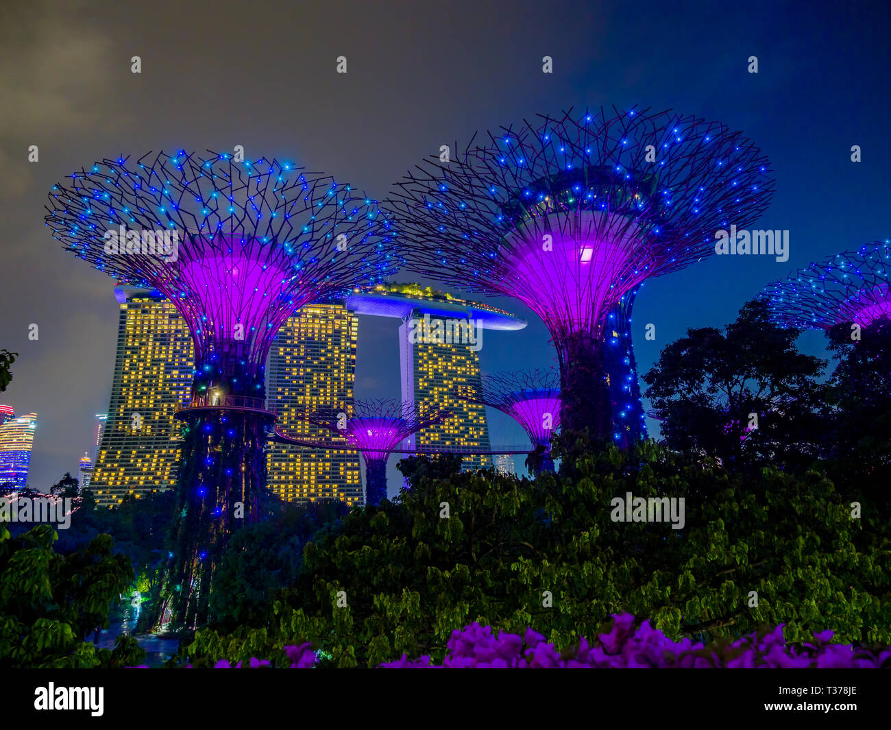 SINGAPORE CITY, SINGAPORE - FEBRUARY 03, 2019: Gardens by the bay in ...