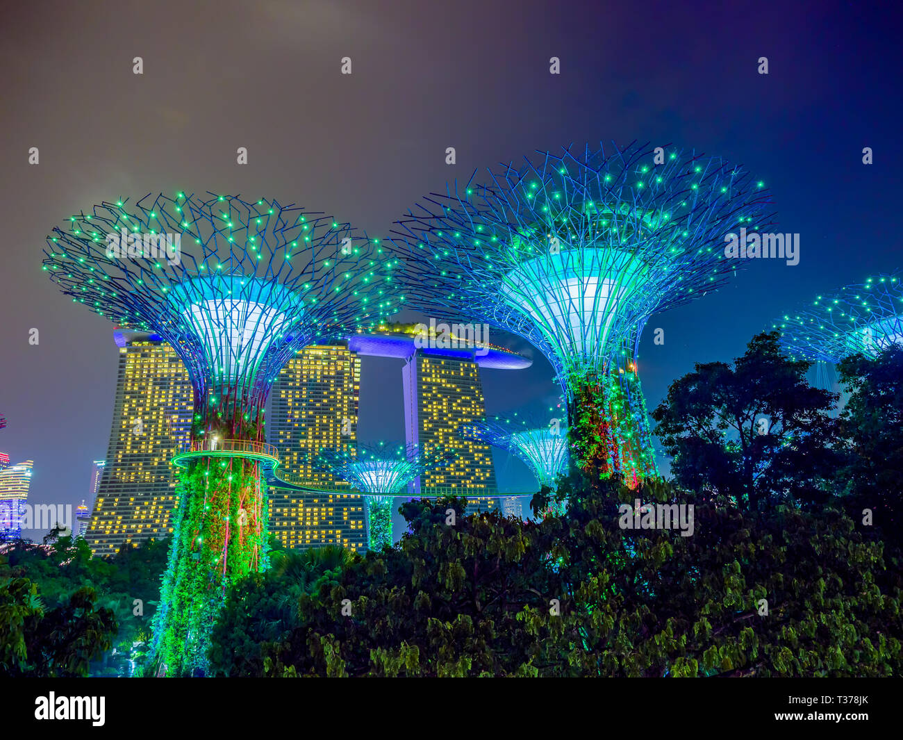 SINGAPORE CITY, SINGAPORE - FEBRUARY 03, 2019: Gardens by the bay in ...
