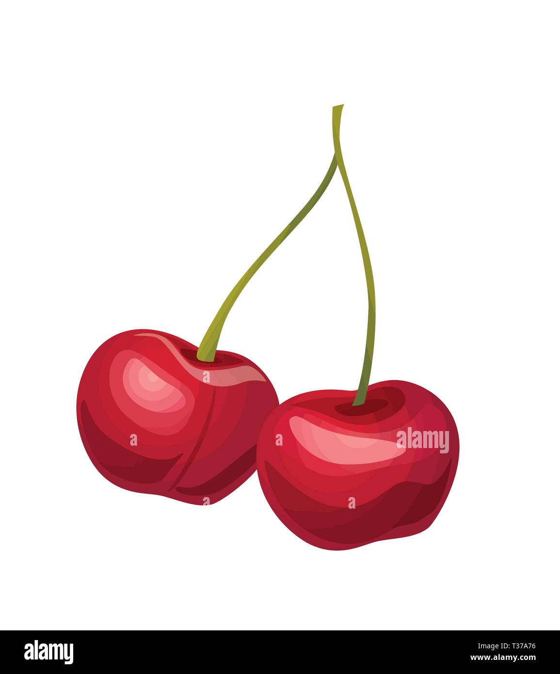 double cherry dessert shiny ingredient berry illustration Stock Photo ...