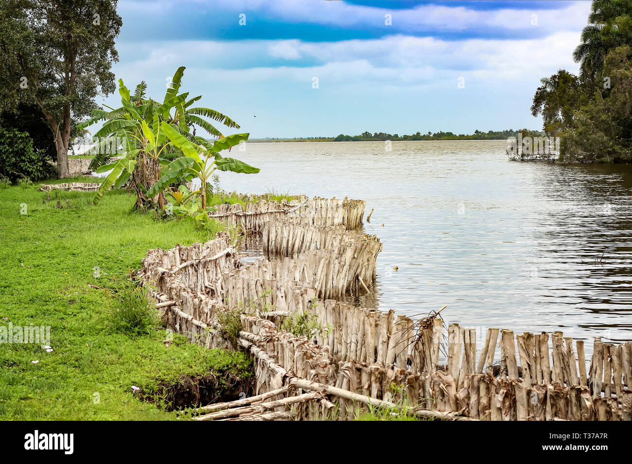 Wooden dam in traditional indian village Boca de Guama Nature Reserve ...