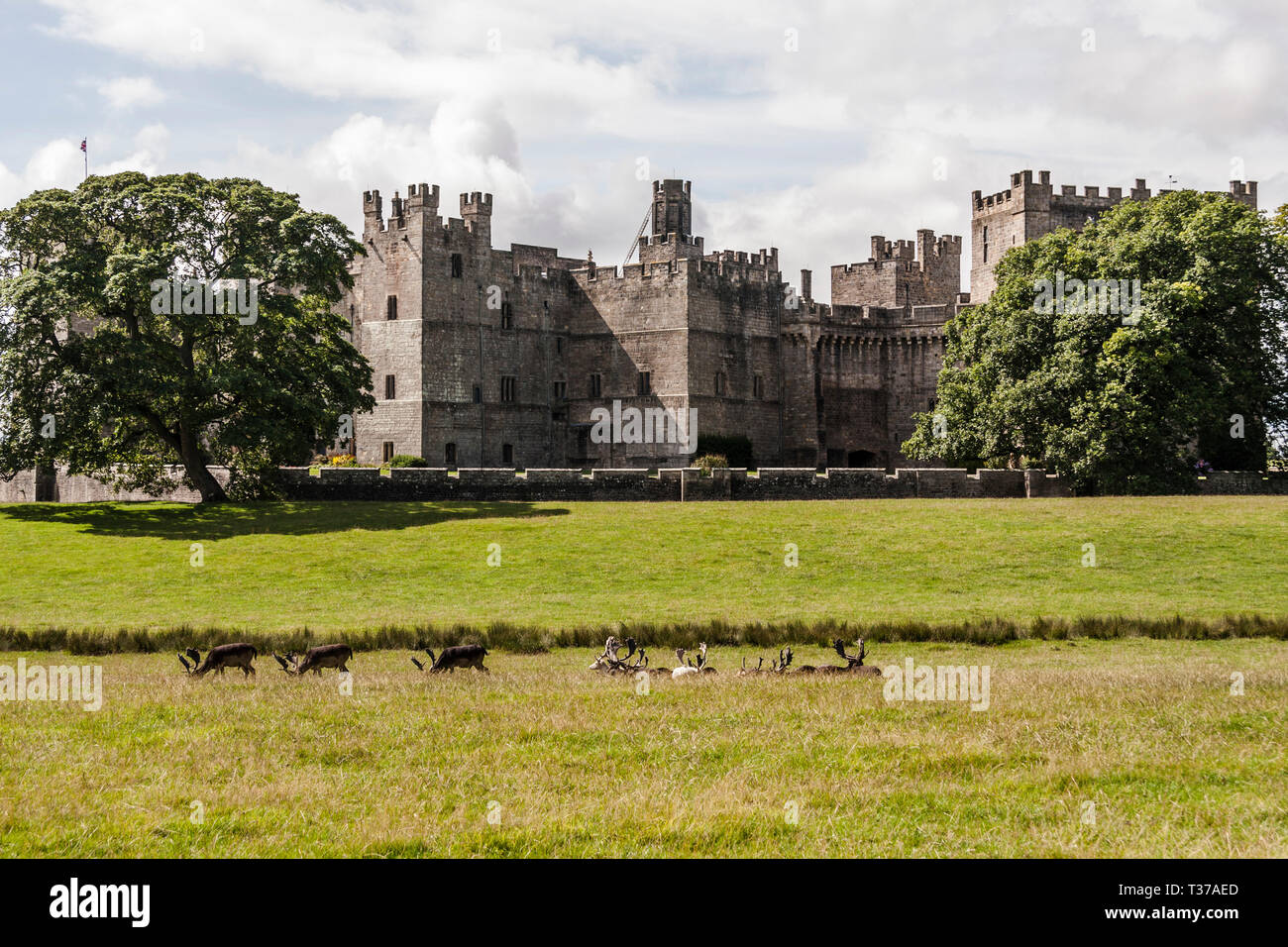 England raby staindrop castle hi-res stock photography and images - Alamy