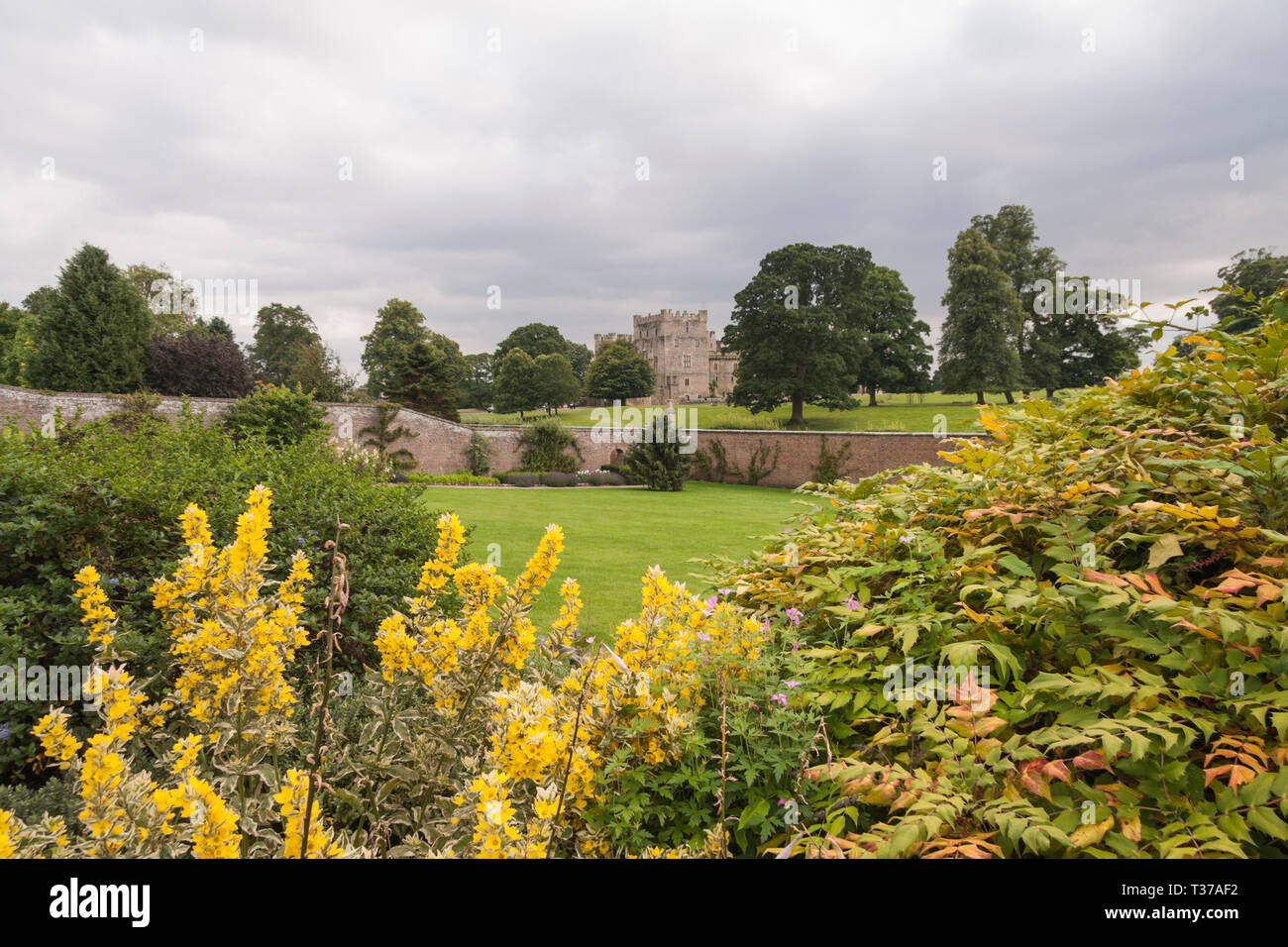 The gardens and grounds of Raby Castle,Staindrop,England,UK Stock Photo ...