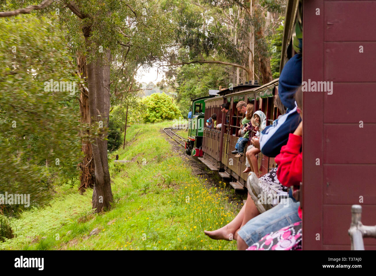 Melbourne, Australia - January 7, 2009: Puffing Billy steam train with passengers. Historical ...