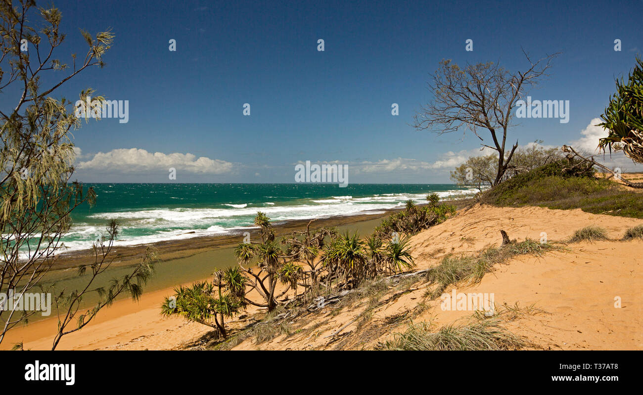 Panoramic view of vast deserted sandy beach hemmed with dunes ...
