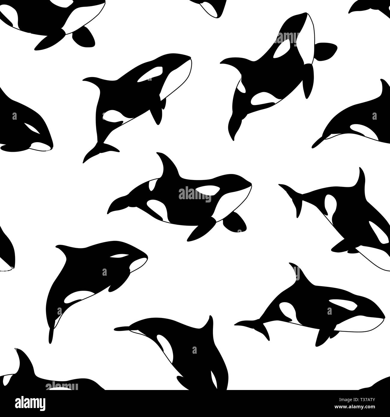 Vector seamless pattern of hand drawn killer whale swimming on white ...