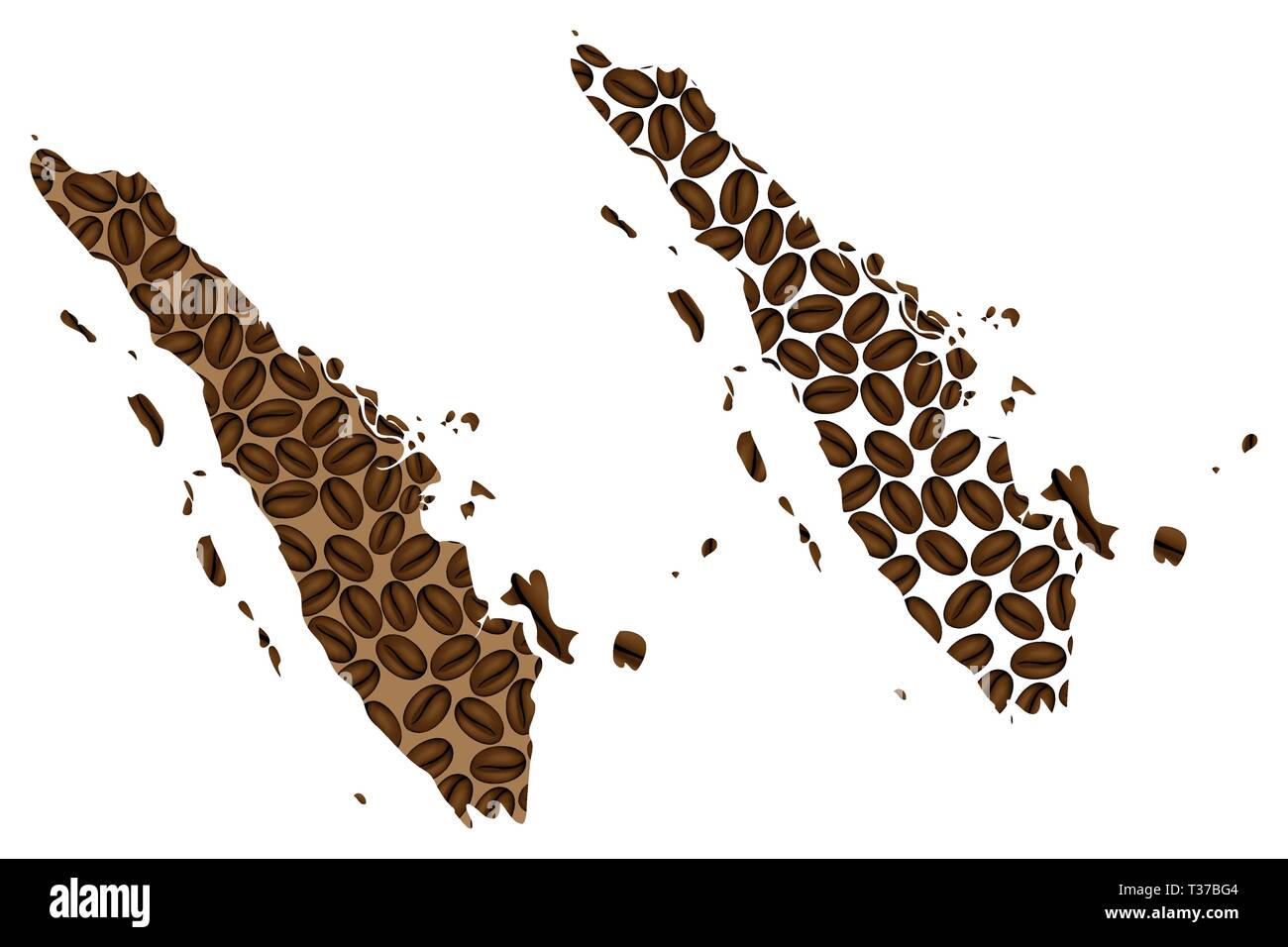 Sumatra (Greater Sunda Islands) - map of coffee bean, Sumatra (Republic ...