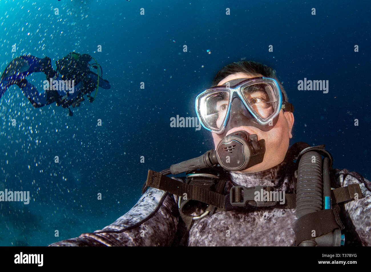 Scuba diver underwater selfie portrait in the deep blue ocean Stock ...