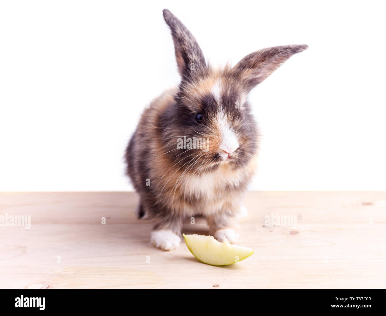 Apple tricolor hi-res stock photography and images - Alamy