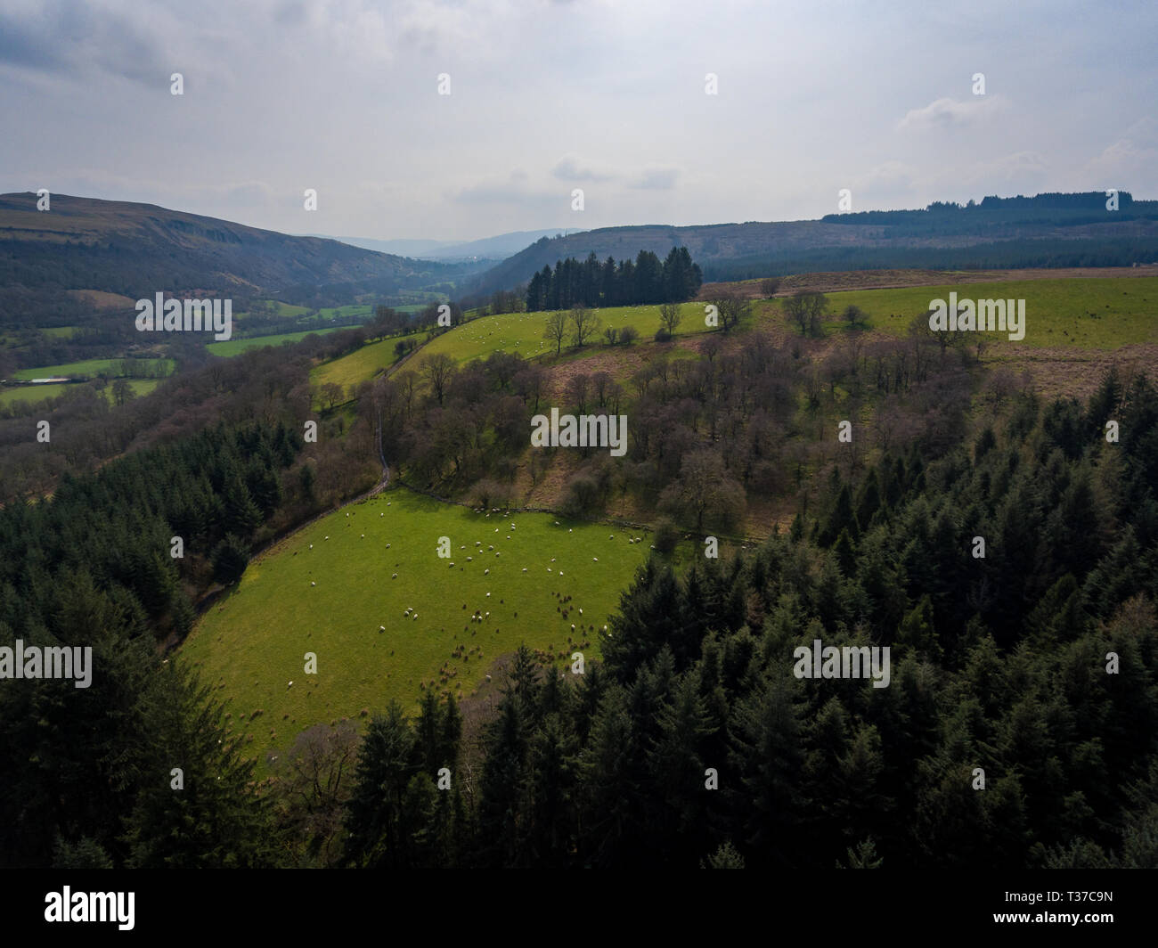 Aerial view of the Brecon Beacons National Park on a Spring moring in ...