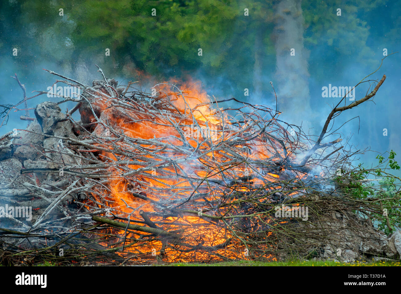Smoldering forest hi-res stock photography and images - Alamy