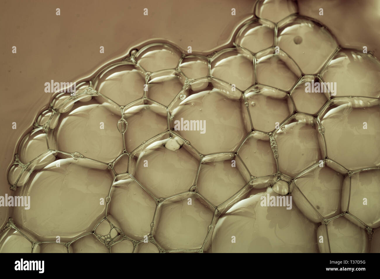 Colorful water bubles on water as abackground Stock Photo - Alamy