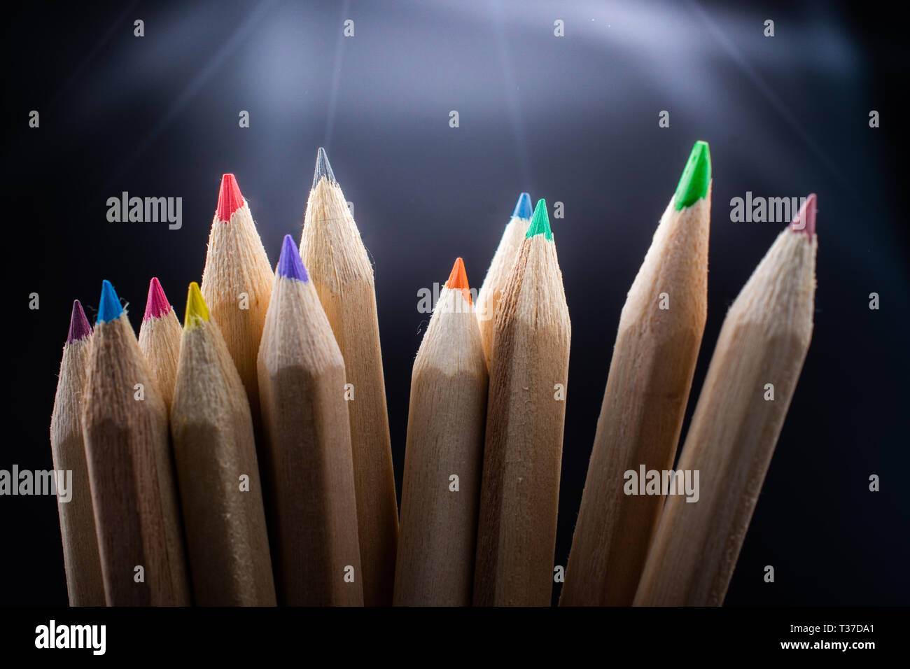 Variety of colors vector set of colored pencils. Drawing and painting ...