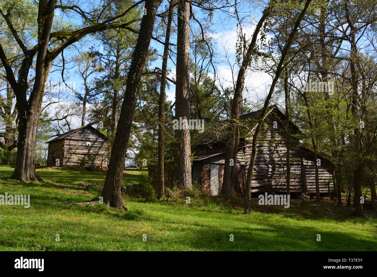 Old cabins in the woods hi-res stock photography and images - Alamy