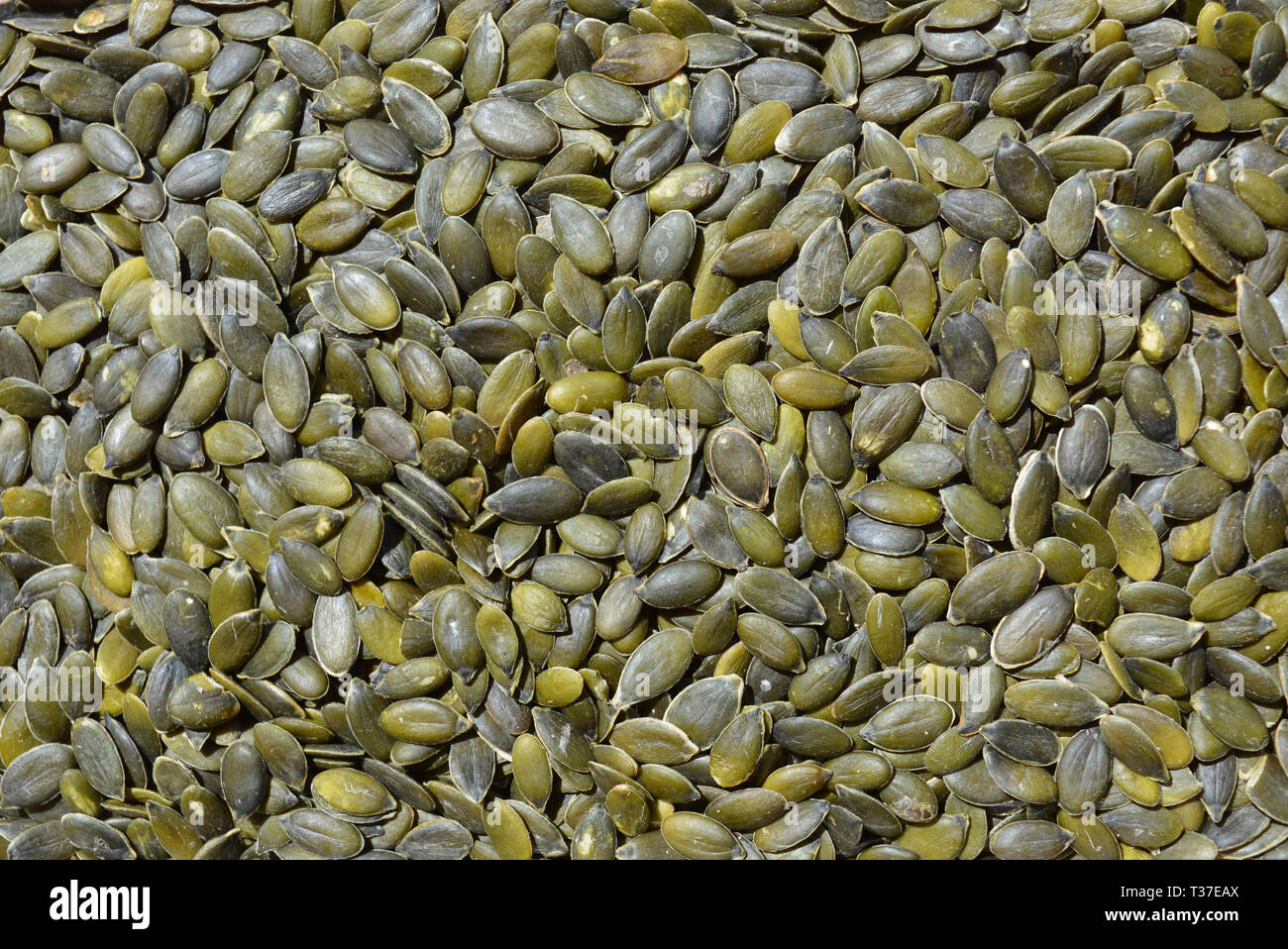 pumpkin seeds, full frame Stock Photo - Alamy