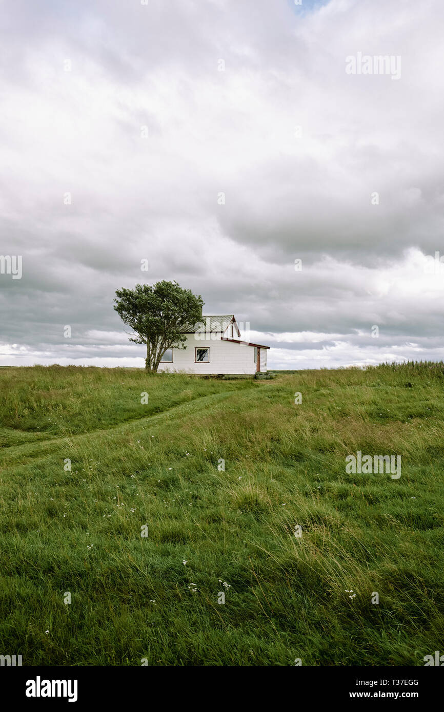 A lone house trying to hide behind a small tree in a remote grassland ...
