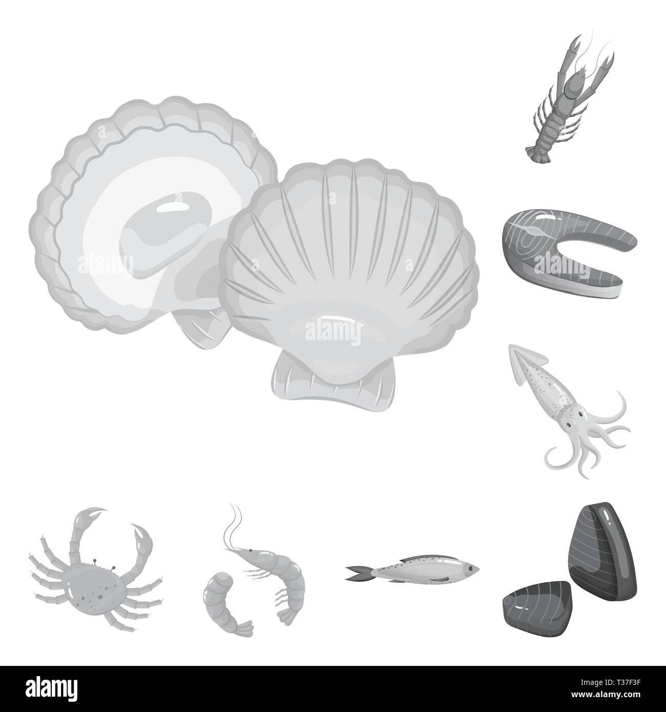jellyfish,lobster,salmon,octopus,crab,shrimp,fish,cooked,squid,shell ...