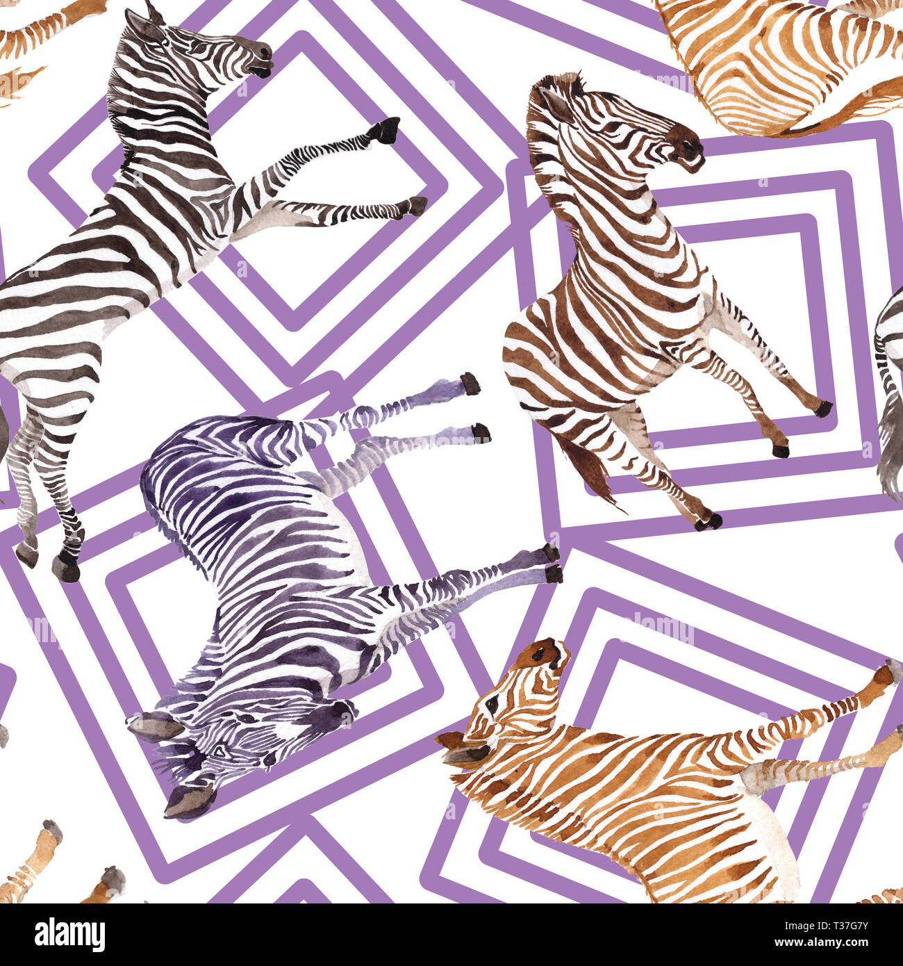 Exotic zebra wild animal in a watercolor style. Watercolor background ...