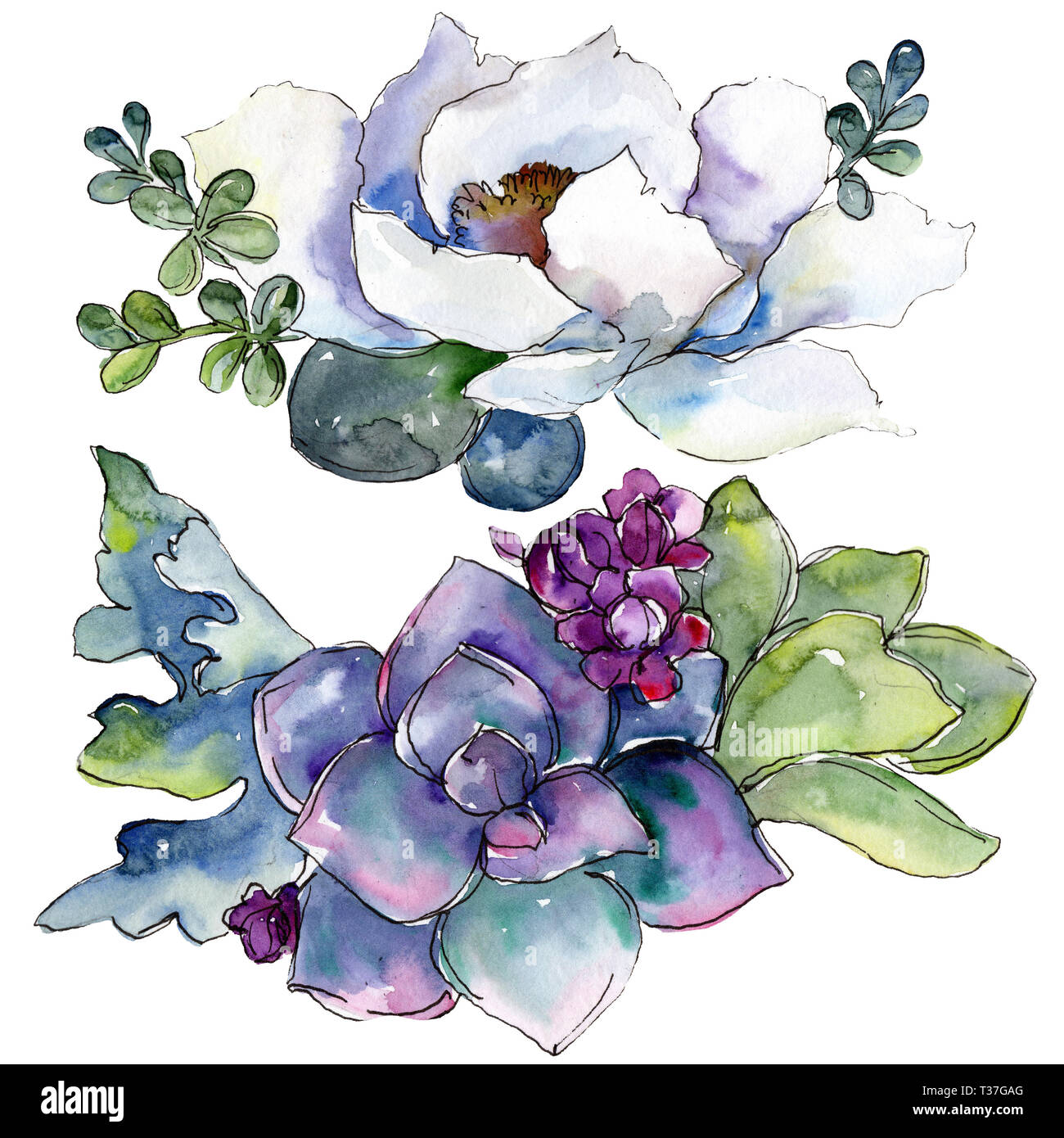Bouquets floral botanical flowers. Watercolor background illustration ...