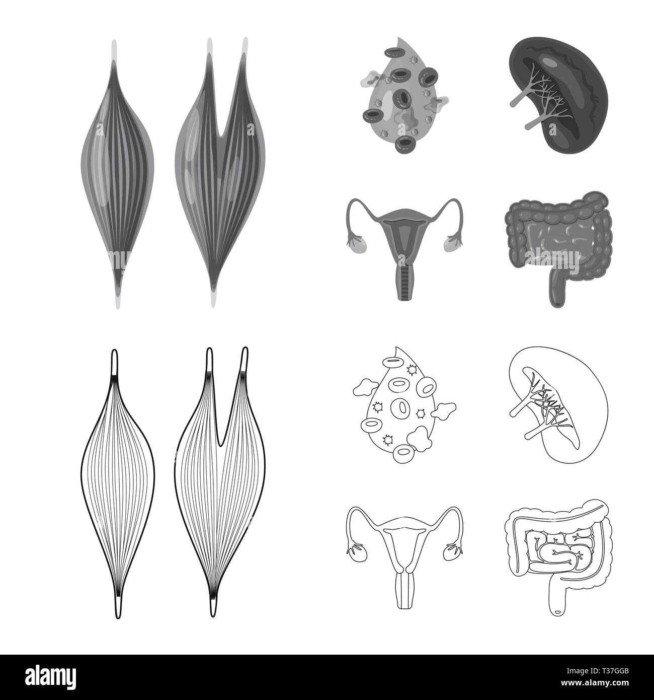 Vector design of biology and scientific logo. Collection of biology and ...