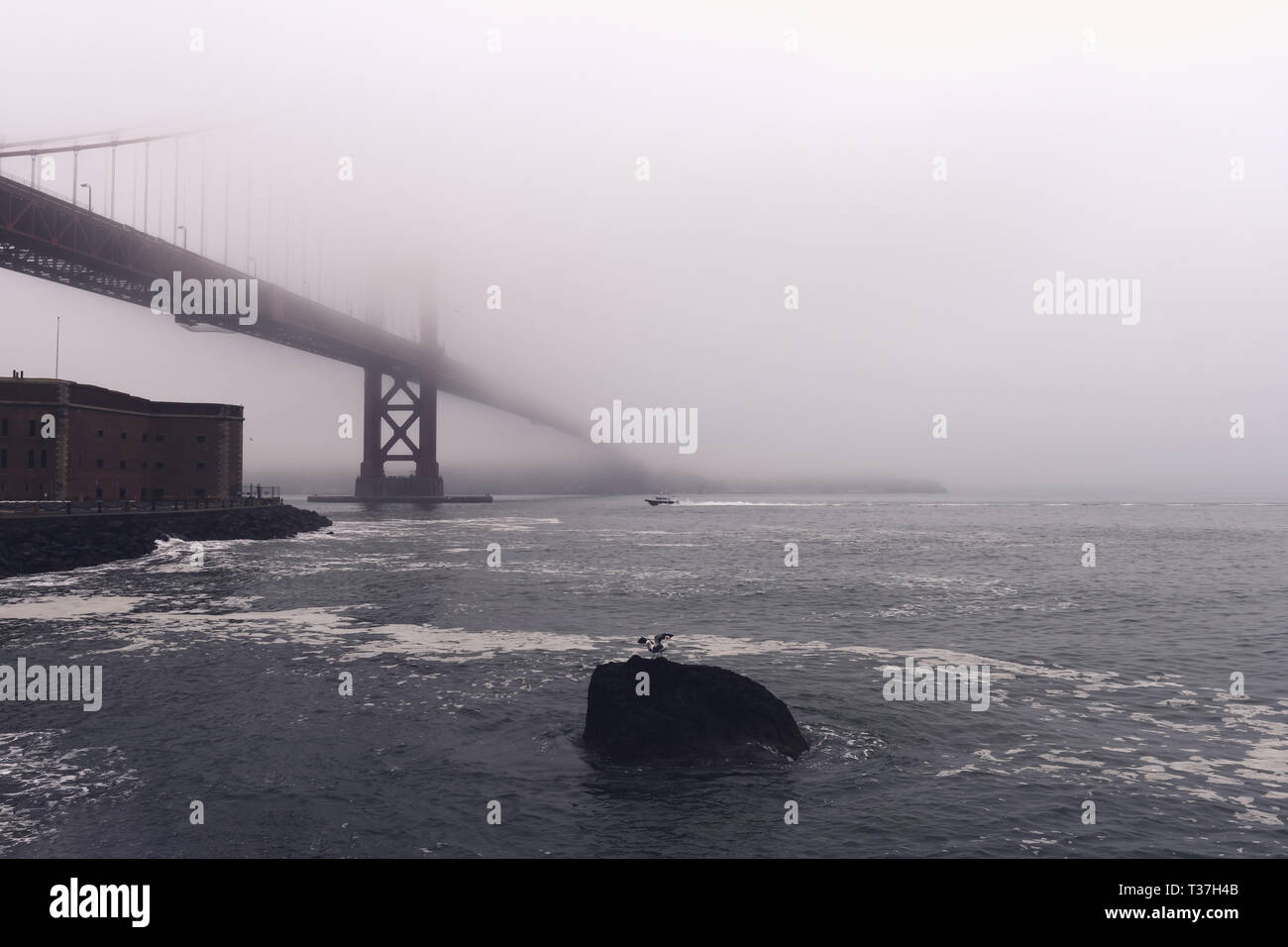 Heavy morning fog surrounds the Golden Gate Bridge Stock Photo - Alamy