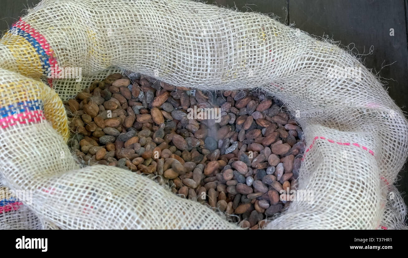 dried cacao beans falling into a hessian bag Stock Photo - Alamy