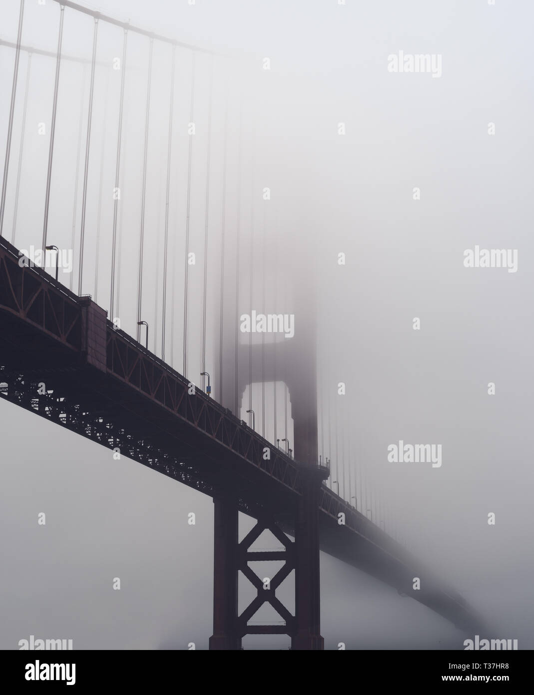 Heavy morning fog surrounds the Golden Gate Bridge Stock Photo - Alamy