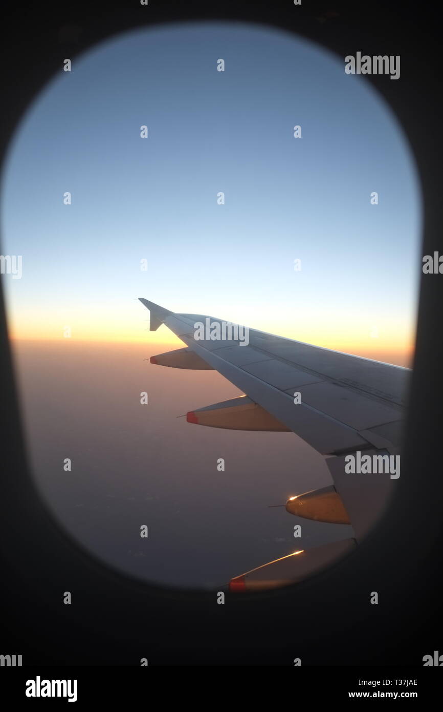 Wing of Airbus A320 passenger twin-engine jet airliners manufactured by ...