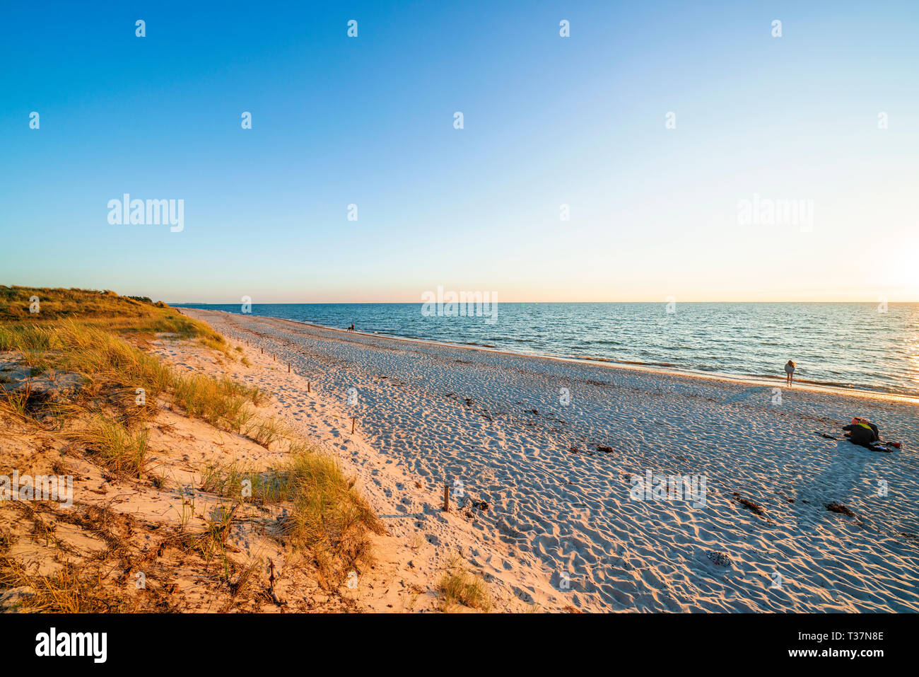 Germany coastline hi-res stock photography and images - Alamy