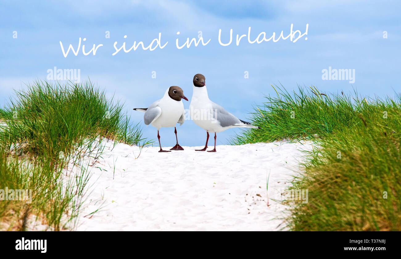 We are on vacation Stock Photo - Alamy