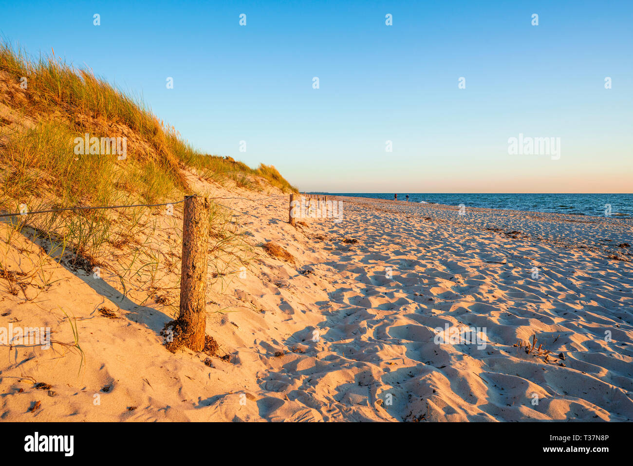 Sand beach at the Baltic Sea, Germany Stock Photo - Alamy